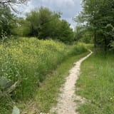 Pickett Trail, Texas - 656 Reviews, Map | AllTrails