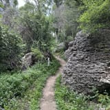 Pickett Trail, Texas - 656 Reviews, Map | AllTrails