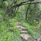 Pickett Trail, Texas - 656 Reviews, Map | AllTrails