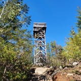 Heybrook Ridge via Leovy Trail, Washington - 1,581 Reviews, Map | AllTrails