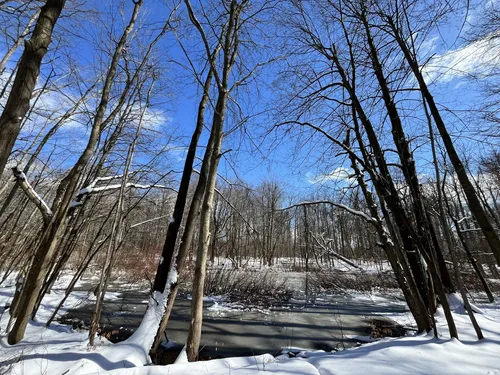 Best Kid Friendly Trails in Reinstein Woods Nature Preserve and ...