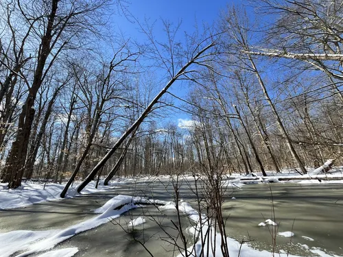 Best Kid Friendly Trails in Reinstein Woods Nature Preserve and ...