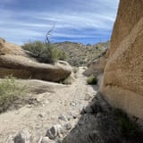 Grapevine Canyon Trail, Nevada - 509 Reviews, Map | AllTrails