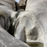 Grapevine Canyon Trail, Nevada - 542 Reviews, Map | AllTrails