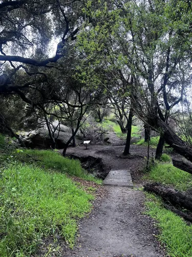 Best Wheelchair Friendly Trails in Aliso and Wood Canyons Regional Park ...