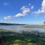 Lake Grapevine Horseshoe Trail, Texas - 2,108 Reviews, Map | AllTrails