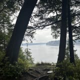 Point Defiance Park Outer Loop, Washington - 3,870 Reviews, Map | AllTrails