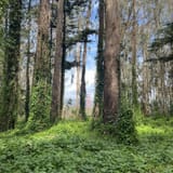 Presidio Loop Trail, California - 1,492 Reviews, Map | AllTrails