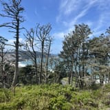 Presidio Loop Trail, California - 1,492 Reviews, Map | AllTrails