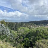 Presidio Loop Trail, California - 1,492 Reviews, Map | AllTrails