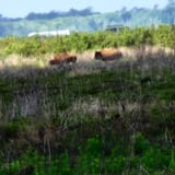 Bolen Bluff Trail, Florida - 945 Reviews, Map | AllTrails