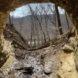 Patton Cave via Grubb Ridge and Hayes Trail, Indiana - 695 Reviews, Map ...