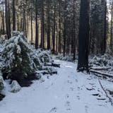 Carlon Falls Trail, California - 1,192 Reviews, Map | AllTrails