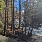 Carlon Falls Trail, California - 1,192 Reviews, Map | AllTrails