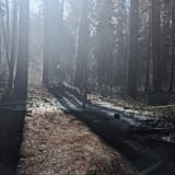 Carlon Falls Trail, California - 1,192 Reviews, Map | AllTrails