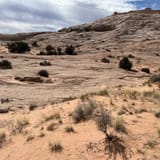 Cosmic Ashtray via Volcano Trail, Utah - 477 Reviews, Map | AllTrails