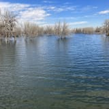 Chatfield Dam to Chatfield Internal Loop, Colorado - 775 Reviews, Map ...