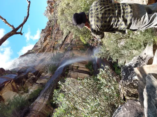 Best River Trails in Roses Gap | AllTrails