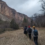 Jones Hole Trail, Utah - 280 Reviews, Map | AllTrails