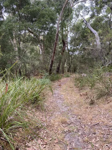 Best Hikes and Trails in Main Ridge | AllTrails