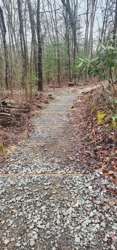 Best Beach Trails in Cherokee National Forest | AllTrails