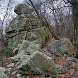 White Rocks Trail, Pennsylvania - 1,694 Reviews, Map | AllTrails
