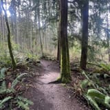 Dash Point State Park Loop via Beach Trail, Washington - 911 Reviews ...