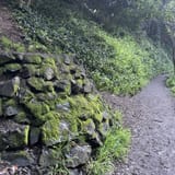 Old Cañon Trail and Sausal Creek Loop, California - 545 Reviews, Map ...