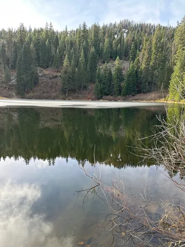 Best Walking Trails in Williams | AllTrails