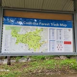 Mount Coot-tha Loop via Powerful Owl Trail, Queensland, Australia - 748 ...