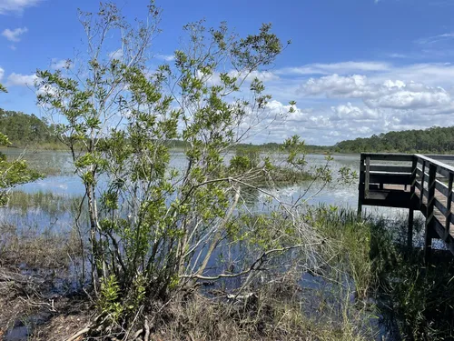 Best Views Trails in Split Oak Forest Wildlife And Environmental Area ...