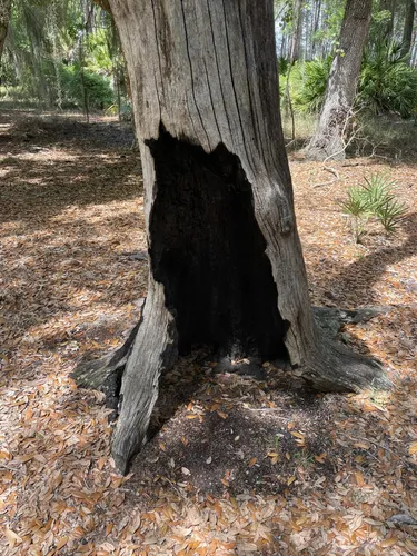 Best Views Trails in Split Oak Forest Wildlife And Environmental Area ...