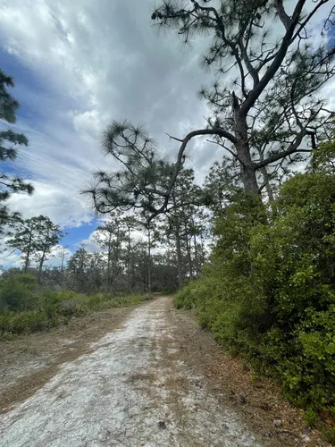 Best Views Trails in Split Oak Forest Wildlife And Environmental Area ...