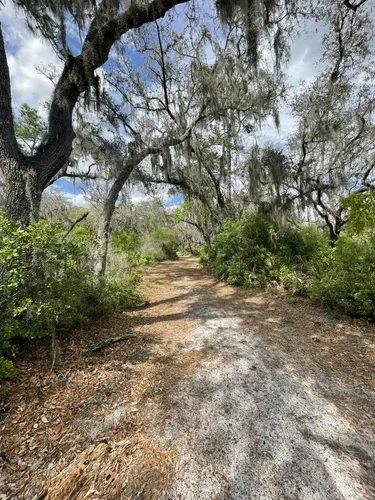 Best Views Trails in Split Oak Forest Wildlife And Environmental Area ...