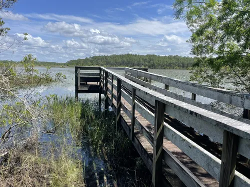 Best Views Trails in Split Oak Forest Wildlife And Environmental Area ...