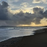 Limantour Beach Trail, California - 361 Reviews, Map | AllTrails