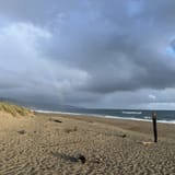 Limantour Beach Trail, California - 361 Reviews, Map | AllTrails