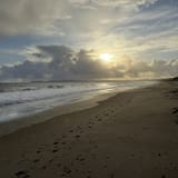 Limantour Beach Trail, California - 361 Reviews, Map | AllTrails