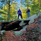 Sunset Rocks Trail, Pennsylvania - 1,038 Reviews, Map | AllTrails