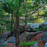 Sunset Rocks Trail, Pennsylvania - 1,038 Reviews, Map | AllTrails
