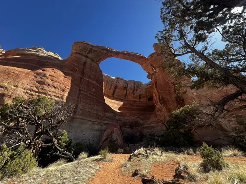 Best Long Trails in Black Ridge Canyons Wilderness | AllTrails