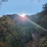 Emory Peak Trail, Texas - 2,148 Reviews, Map | AllTrails