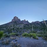 Emory Peak Trail, Texas - 2,166 Reviews, Map | AllTrails