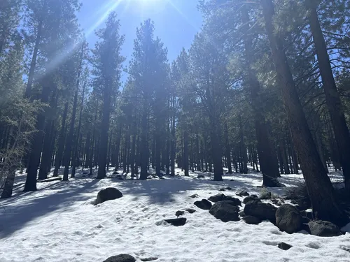 Best Waterfall Trails in Mount Rose Wilderness | AllTrails