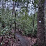 Fiery Gizzard: Grundy to Foster Falls, Tennessee - 566 Reviews, Map ...