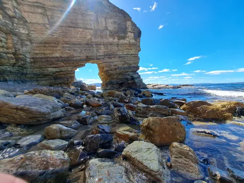 Best Hikes and Trails in Fossil Cove Conservation Area | AllTrails