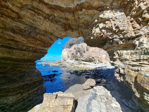 Best Hikes and Trails in Fossil Cove Conservation Area | AllTrails