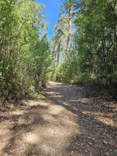 Best Hikes and Trails in Shannon National Park | AllTrails