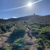 Old Colma Road Loop, California - 1,888 Reviews, Map | AllTrails