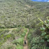 Old Colma Road Loop, California - 1,888 Reviews, Map | AllTrails